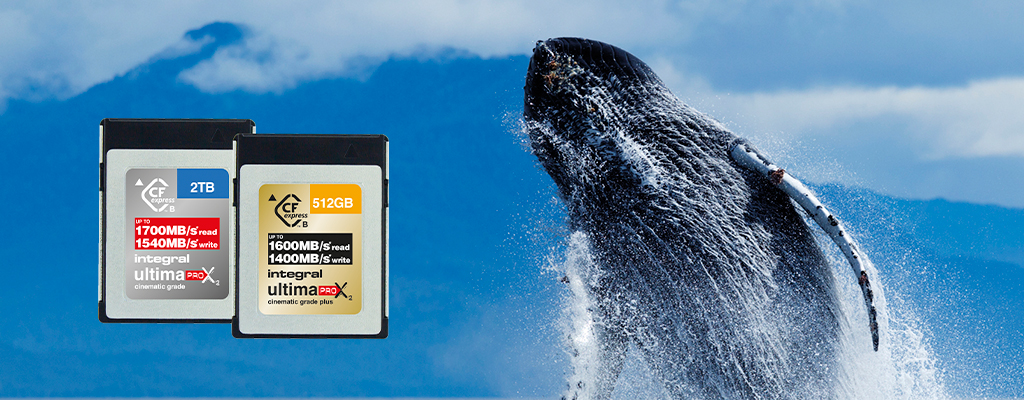 Integral Memory | Experts in Memory and Data Storage Solutions