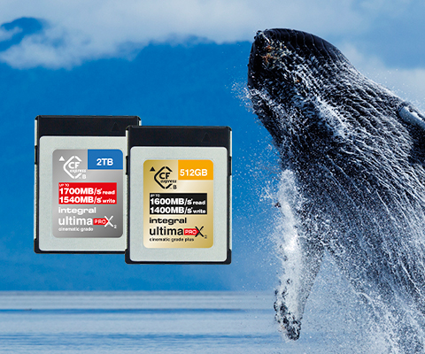 Integral Memory | Experts in Memory and Data Storage Solutions